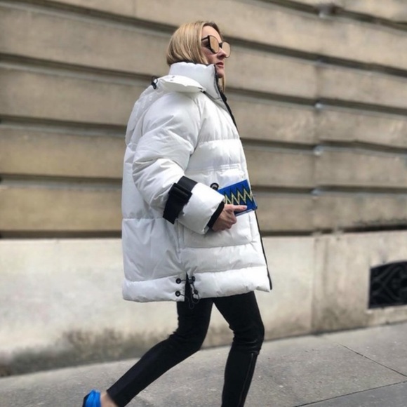 Zara | Jackets & Coats | Nwt Zara Limited Edition Antarctic Capsule ...